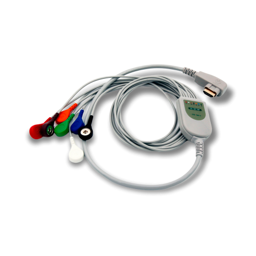 DMS 300-4L/AL - Cardiologia › Cardiologia diagnostica › Sistemi Holter ...